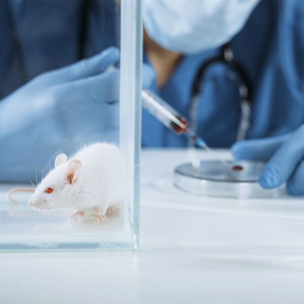 Writer Fuel: Molecule Reverses Some Signs of Aging – In Mice – Liminal ...