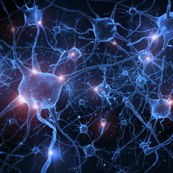 Writer Fuel: The Human Brain Processes Thought Much More Slowly Than ...